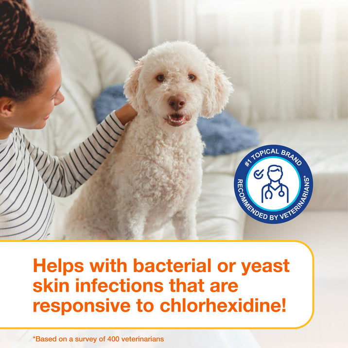 DOUXO® S3 PYO Mousse - Antiseptic Leave-on Mousse for Dogs